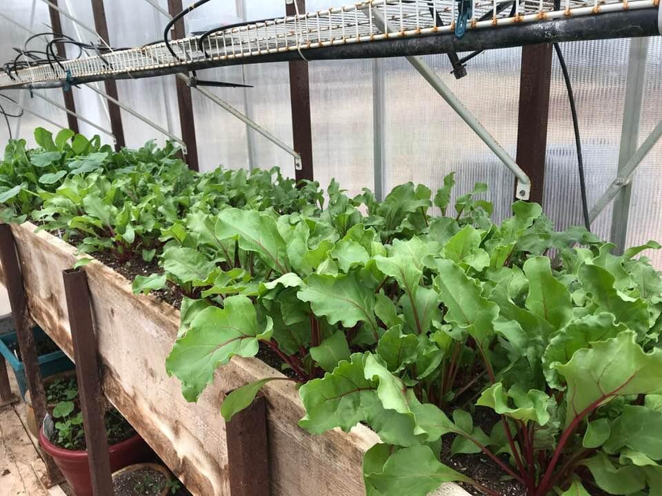 Summer Monsoons in Prescott, AZ - Julie and Dennis Jennings